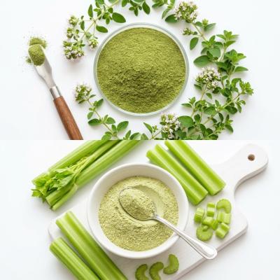 China Premium Celery Powder Natural Electrolyte & Cardiovascular Support Concentrate for sale