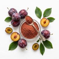 China Premium Sun Dried Plum Powder Traditional Digestive & Refreshing Fruit Concentrate for sale