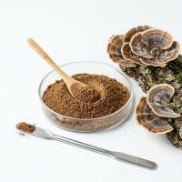 China Premium Turkey Tail Extract Powder (Coriolus Versicolor) Standardized 30% Polysaccharides, 100% Water Soluble for sale