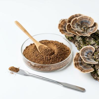 China Premium Turkey Tail Extract Powder (Coriolus Versicolor) Standardized 30% Polysaccharides, 100% Water Soluble for sale