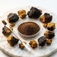 China Premium Chaga Mushroom Extract Powder | Standardized 30% Polysaccharides | Wild-Crafted Inonotus Obliquus | 100% Water Soluble for sale