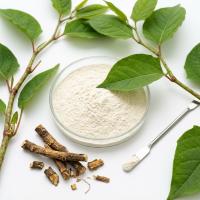 China Premium Resveratrol Powder 98% | Trans-Resveratrol | Giant Knotweed Extract | Standardized Anti-Aging Ingredient for sale