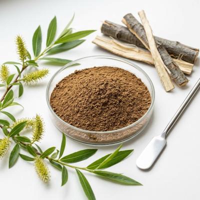China Premium White Willow Bark Extract Powder | Standardized 15%-98% Salicin | Natural Pain Relief & Skincare | HPLC Tested for sale