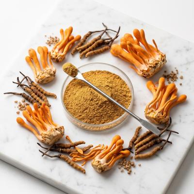 China Premium Cordyceps Extract Powder | Standardized Cordycepin & Adenosine | Immune & Energy Support | HPLC Tested for sale