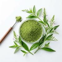 China Premium Andrographis Paniculata Extract Powder | Standardized 10%-98% Andrographolides | Immune & Respiratory Support | HPLC Tested for sale