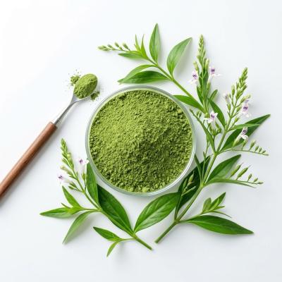 China Premium Andrographis Paniculata Extract Powder | Standardized 10%-98% Andrographolides | Immune & Respiratory Support | HPLC Tested for sale