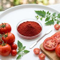 China Premium Lycopene Extract Powder | Standardized 5%-98% | Natural Tomato Extract | Antioxidant & Prostate Health | HPLC Verified for sale