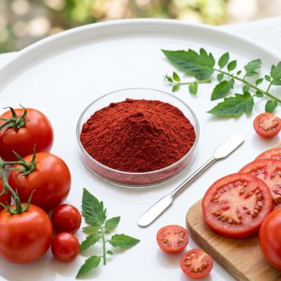 China Premium Lycopene Extract Powder | Standardized 5%-98% | Natural Tomato Extract | Antioxidant & Prostate Health | HPLC Verified for sale