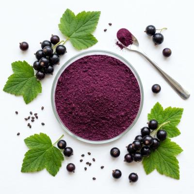 China Premium Black Currant Seed Extract Powder | Standardized 25% Anthocyanins | Skin & Vision Support | Non-GMO | HPLC Verified for sale