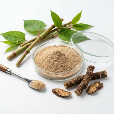 China Premium Polygonum Cuspidatum Extract (Giant Knotweed) | Standardized 50%-98% Resveratrol | Natural Anti-Aging Raw Material | HPLC Verified for sale