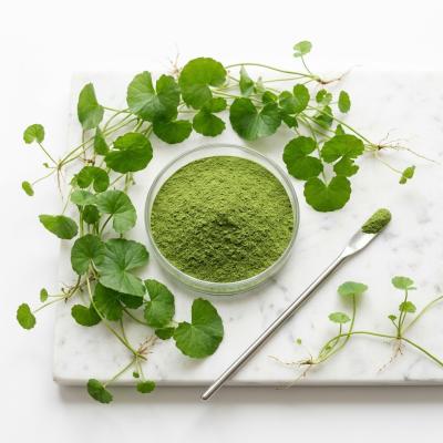 China Premium Centella Asiatica Extract Powder | Standardized 10%-80% Asiaticosides | Skin Repair & Collagen Boost | HPLC Verified for sale