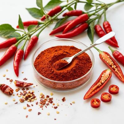 China Premium Capsicum Extract Powder | Standardized 1%-95% Capsaicinoids | Metabolic Booster & Pain Relief | HPLC Verified for sale