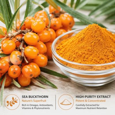 China Premium Sea Buckthorn Extract Powder (Hippophae Rhamnoides) | Standardized 10%-40% Flavonoids | Vitamin C & Immune Support | HPLC Verified for sale