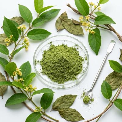 China Premium Gymnema Sylvestre Extract Powder | Standardized 25%-75% Gymnemic Acids | Natural Sugar Destroyer | HPLC Verified | Non-GMO for sale
