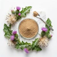 China Premium Milk Thistle Extract Powder (Silybum Marianum) | Standardized 80% Silymarin | 30% Silybin | Liver Health Support | HPLC Verified for sale