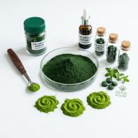 China Premium Chlorella Powder | Broken Cell Wall | 50%-60% Protein | Standardized Chlorophyll & CGF | Natural Detox Superfood | Non-GMO for sale