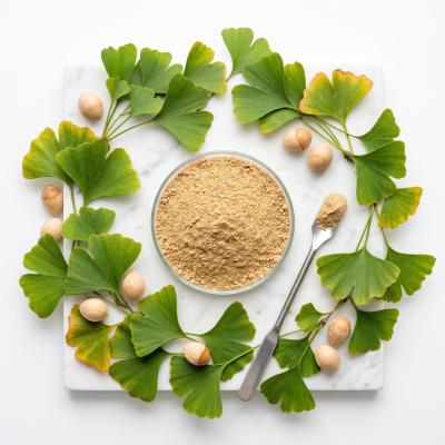 China Premium Ginkgo Biloba Extract Powder | Standardized 24% Flavones & 6% Lactones | Brain & Circulation Support | HPLC Verified for sale