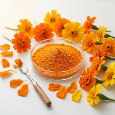 China Premium Zeaxanthin Extract Powder | Standardized 5%-70% | Marigold Flower Extract | Vision & Macular Support | HPLC Verified for sale
