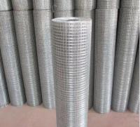 China Electro Hot Dipped Galvanized Wire Mesh with 1/4 Inch Aperture - 1/4