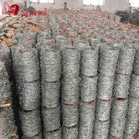 China Hot Dipped Galvanize 14 gauge galvanized barbed wire for South America Market for sale