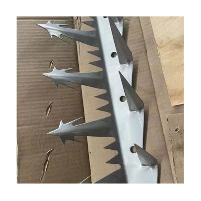 China 304 Stainless Steel Anti-Climb Wall Spikes - Single Razor Security Fencing with Hot Dip Galvanized Options for sale