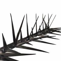 China 1m Length Anti-Climb Wall Fence Spike - 304 Stainless Steel Security Barrier with Single Razor Design for sale
