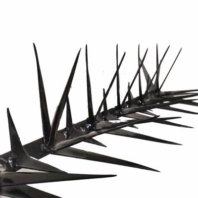 China 1m Length Anti-Climb Wall Fence Spike - 304 Stainless Steel Security Barrier with Single Razor Design for sale