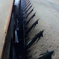 China 1m Length Anti-Climb Wall Fence Spike - 304 Stainless Steel Security Barrier with Single Razor Design for sale