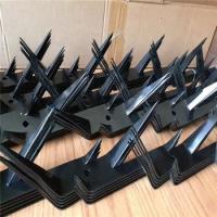 China 1m Length Anti-Climb Wall Fence Spike - 304 Stainless Steel Security Barrier with Single Razor Design for sale