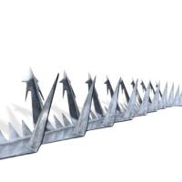 China 1m Length 5m Coverage Stainless Steel Wall Fence Spikes - 304 Grade Anti-Bird Security Deterrent for sale
