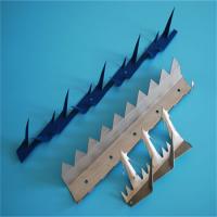 China 1m Length 5m Coverage Stainless Steel Wall Fence Spikes - 304 Grade Anti-Bird Security Deterrent for sale