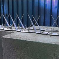 China 1m Length 5m Coverage Stainless Steel Wall Fence Spikes - 304 Grade Anti-Bird Security Deterrent for sale