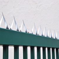 China 1m Length 5m Coverage Stainless Steel Wall Fence Spikes - 304 Grade Anti-Bird Security Deterrent for sale