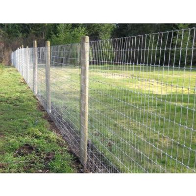 China Woven Field Fence 2.5mm Galvanized Steel for Horses Cattle Sheep 50m-100m Length for sale
