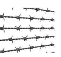 China Customization Stainless Steel Eelctro/Hot Dipped Galvanized Barbed Wire PVC Coated Barbed Wire for sale
