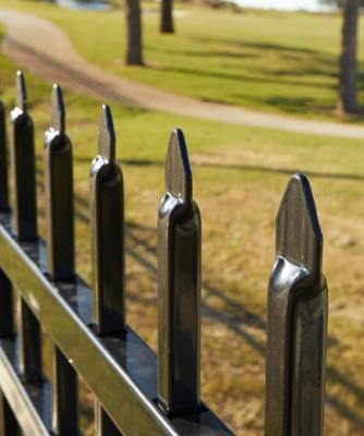 China Custom Powder Coated Wrought Iron Garden Fence 1.8m Height 2.4m Width with Anti-Rust Coating for sale