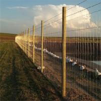China Hot Galvanized Cheap Hog Wire Farm Fence Prairie Field Fence Netting Cattle Fence on Farm for Sale for sale