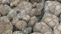 China Hot Dipped Galvanized Gabion Box 2-4m Length with 0.3-0.5m Height for Erosion Control and Retaining Walls for sale