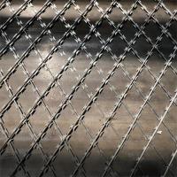 China Stainless Steel Razor Wire Fencing - 0.5mm Blade Thickness, 2.5mm Core Diameter - Hot Dipped Galvanized Security Barrier for sale