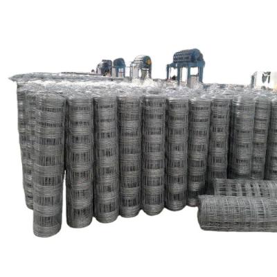 China High Tensile Strength Galvanized Deer Fence - 2.5mm Wire Diameter, 50-100m Roll Length for Livestock Protection for sale