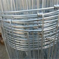 China Galvanized Livestock Fence 1.8-3.5mm Wire Diameter with 60-100g/m² Zinc Coating for Farm Field Containment for sale