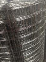 China 8 Gauge Galvanized Welded Wire Mesh Panels 0.4-5.0mm Wire Diameter 1/4