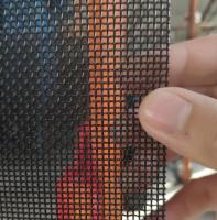 China Black Powder Coated SS 316 Security Screen Mesh with 2.148 Ton Impact Resistance for Window Protection for sale
