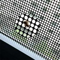 China Stainless Steel SS Dust Proof Anti Theft Anti Mosquito Bulletproof Insect Screen Security Screens for Windows and Doors for sale