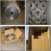 China Hot Dipped Galvanized Protect Defense Razor Barbed Wire Welded Wire Mesh for Farm for sale