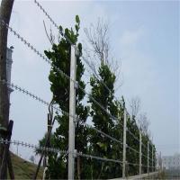 China Galvanized BTO22 BTO-25 28 30 CBT 45 60 65 Barbed Straight Razor Barbed Wire Mesh Fence for sale