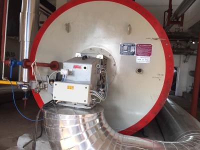 China 0.6-1.6MPa Flue Gas Recirculation Organic Heat Carrier Boiler | 0.7-29MW Thermal Power | Low NOx Emissions for sale