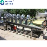 China 380v Automatic Frozen French Fries Making Machine Production Line For Factory for sale