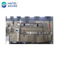 China Automatic Industrial Frozen French Fries Production Line 50kg/H 100kg/H 500kg/H for sale