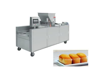 China Stainless Steel Bread Forming Machine One Year Warranty Compact Structure for sale